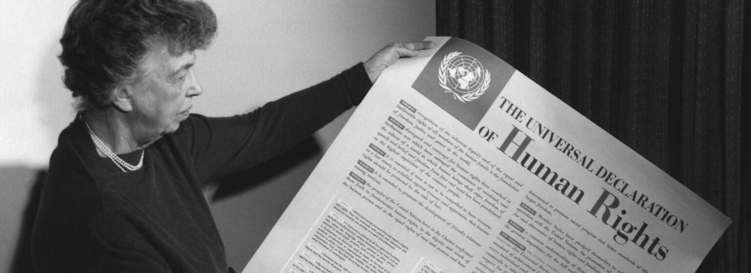 Edith Brown Weiss - Normandy Chair for Peace